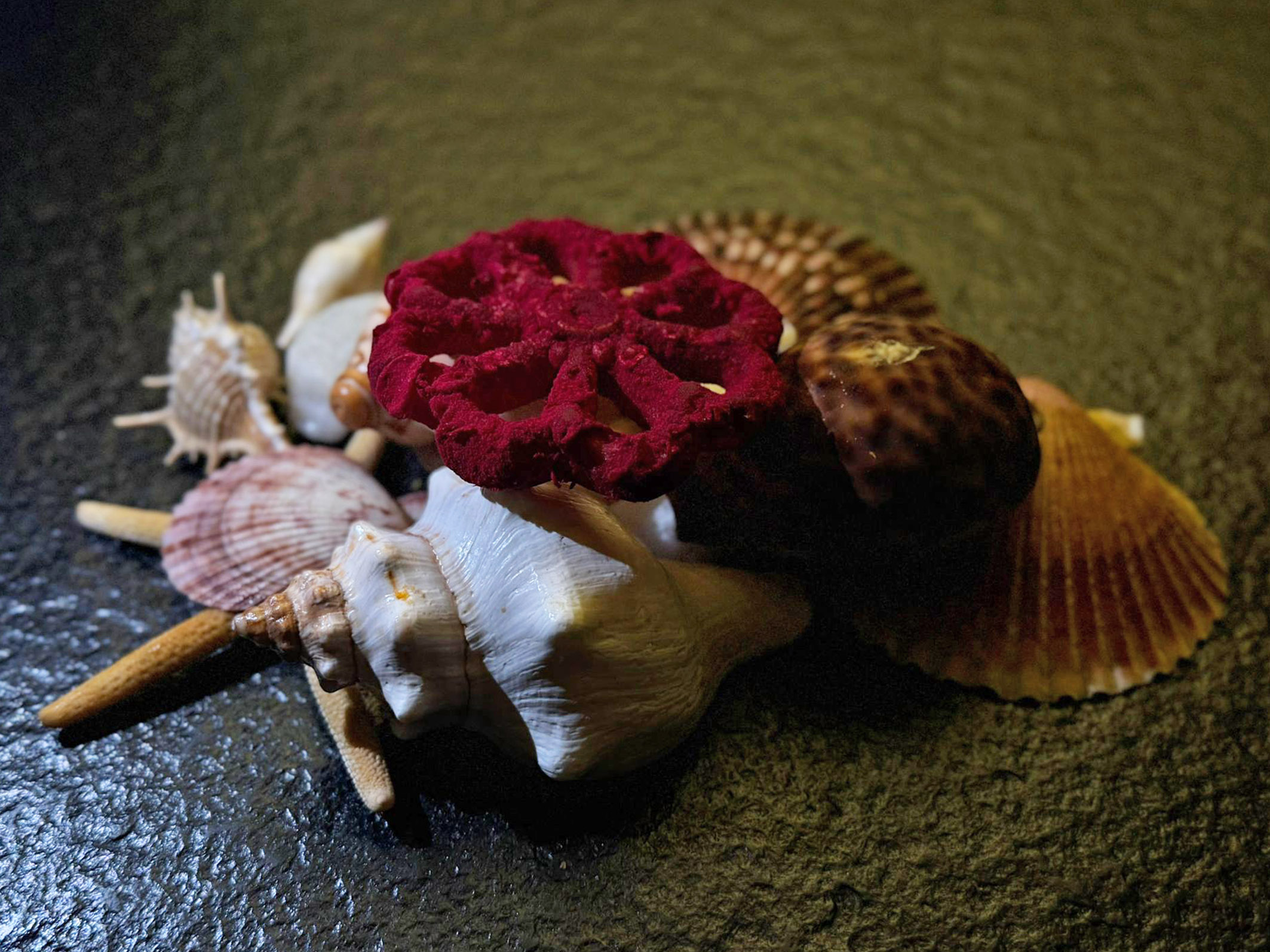 Salvador Fernández, de Grupo Borrego, representará a la Región de ...